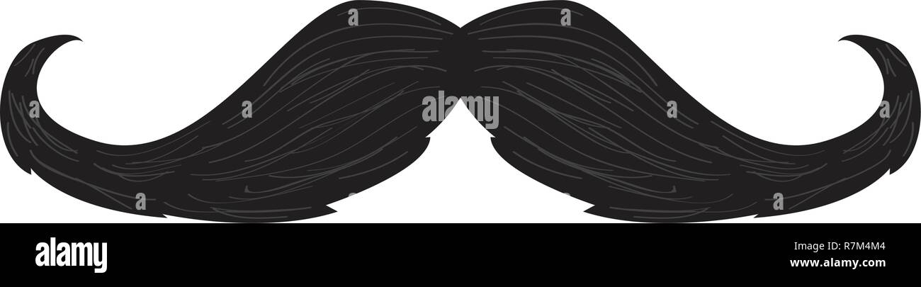 Isolated detailed mustache Stock Vector Image & Art - Alamy