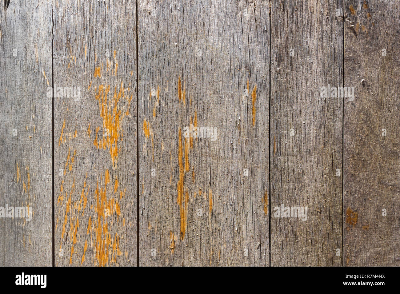 Rotten wood planks hi-res stock photography and images - Alamy