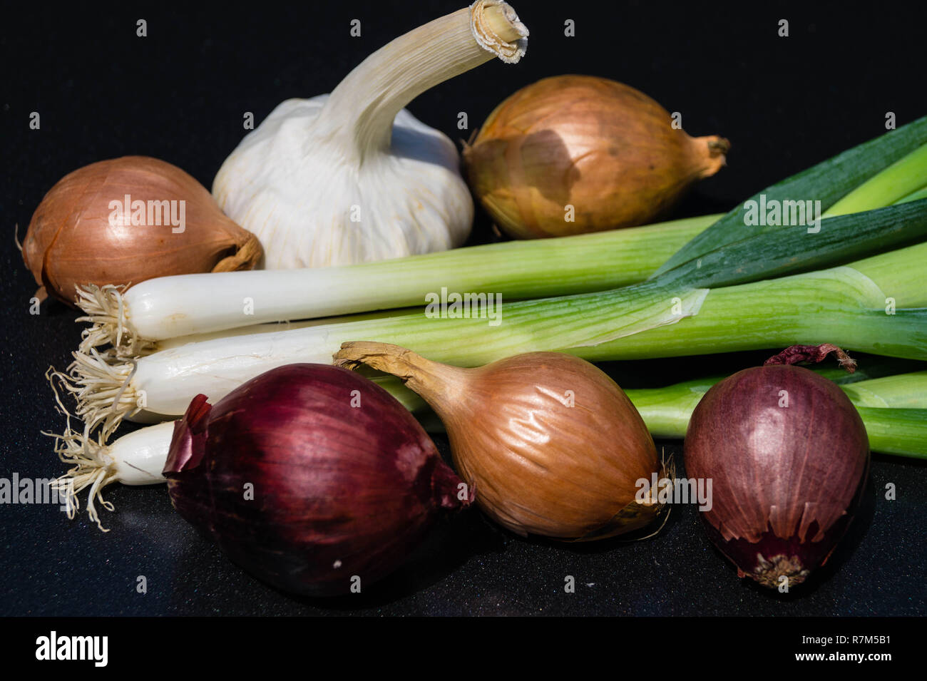 Different Kind of Onions Stock Photo - Alamy