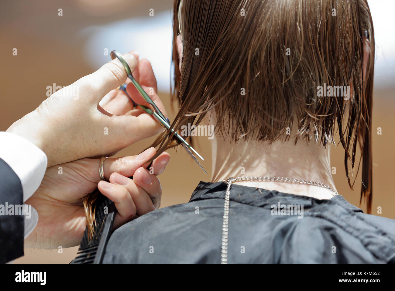 Hairdresser trimming brown hair hi-res stock photography and images - Alamy