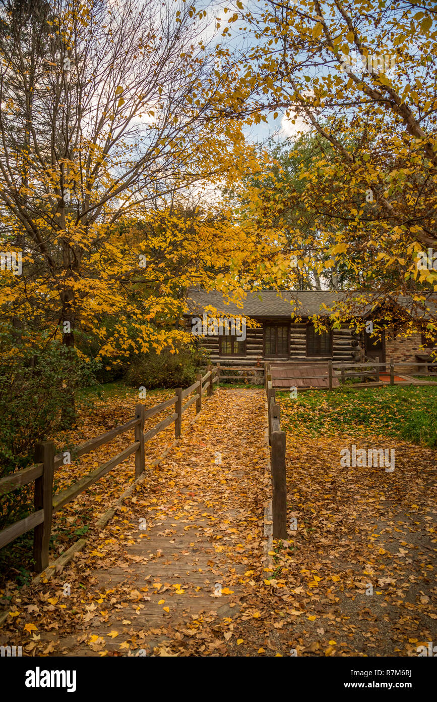 Fall colors surround a mountain cabin,fall forest landscape Stock Photo ...