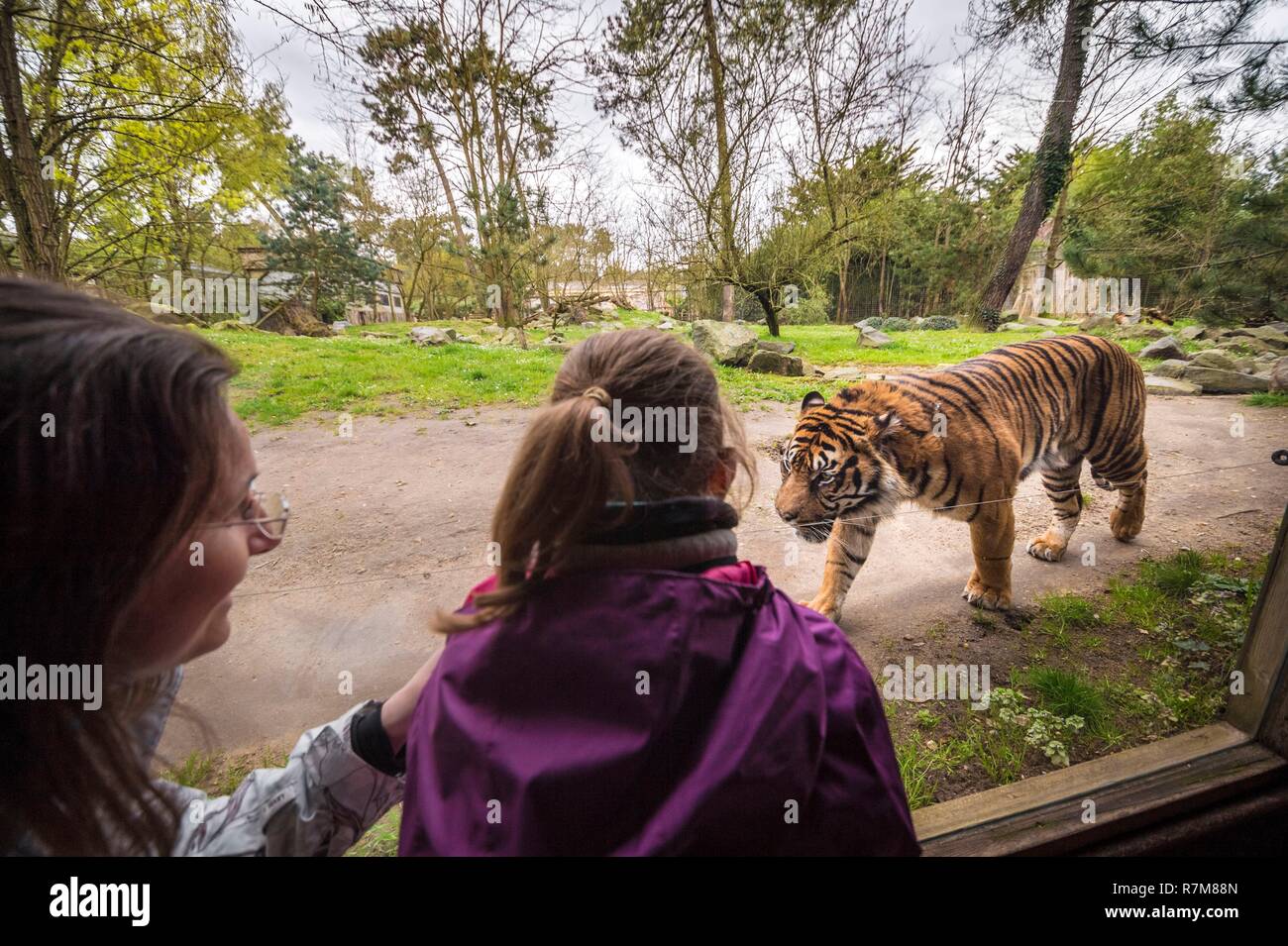 Sumatran people hi-res stock photography and images - Alamy