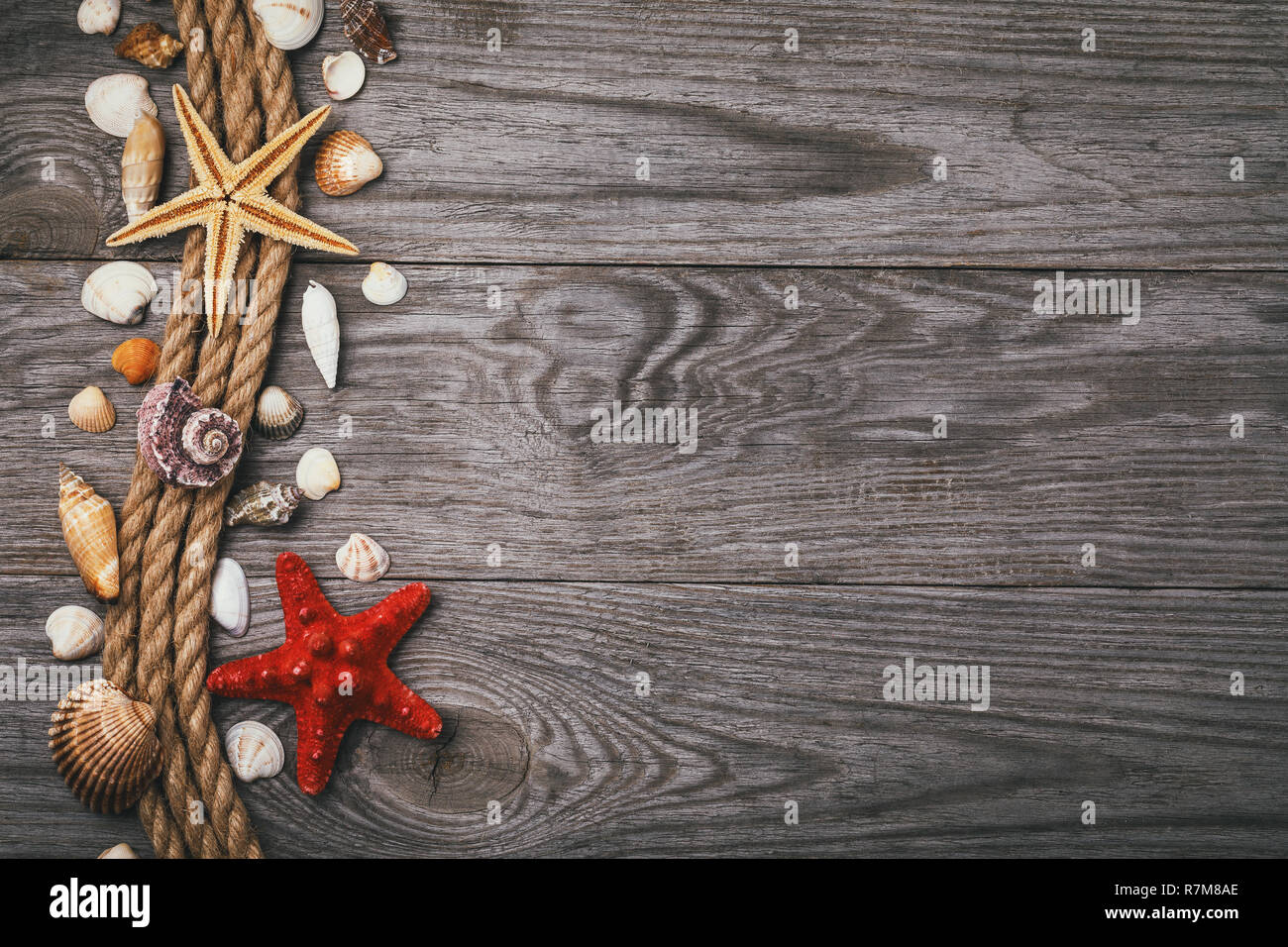 Rope and various sea shells on background of an old wooden board with ...