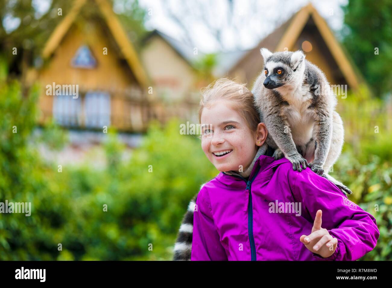 Maki mococo hi-res stock photography and images - Alamy