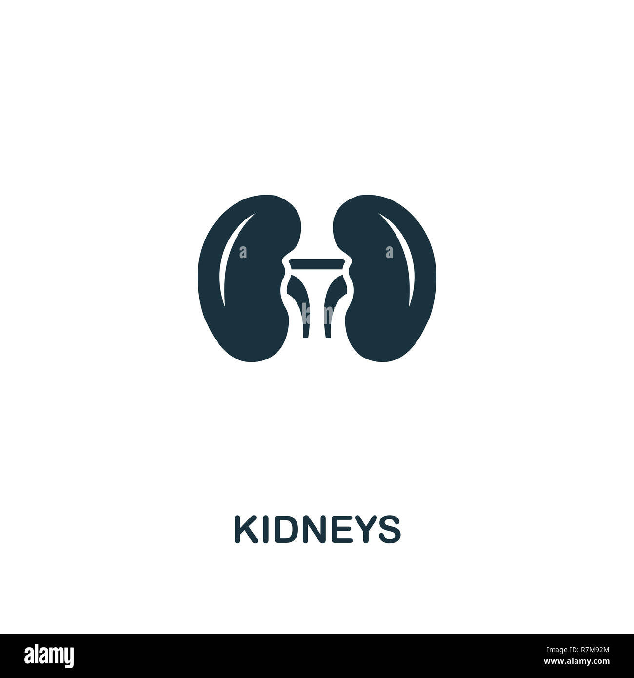 Kidneys icon. Premium style design from healthcare collection. Pixel ...
