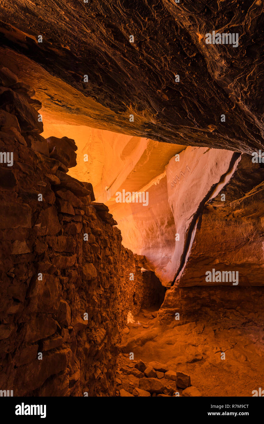 A dramatic snake petroglyph painted on wall of Moon House Ruin on Cedar ...