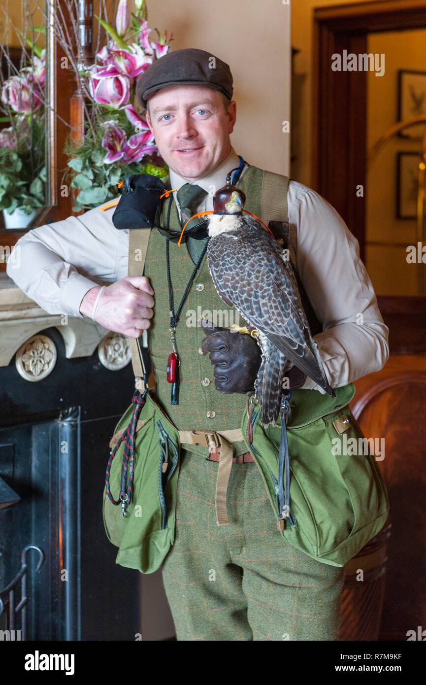 Republic of Ireland, County Mayo, Ballina, Mount Falcon Estate ...