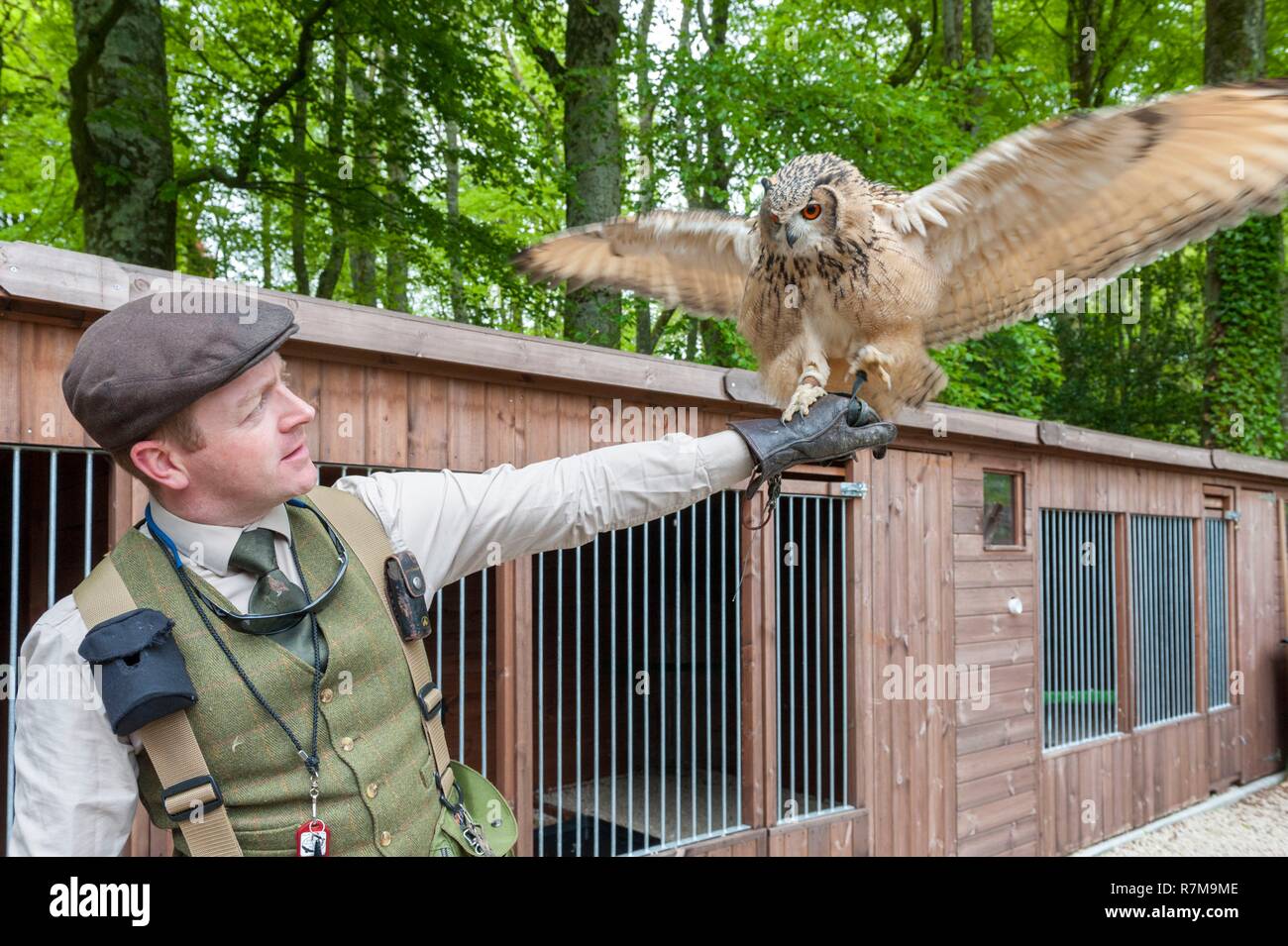 Republic of Ireland, County Mayo, Ballina, Mount Falcon Estate ...