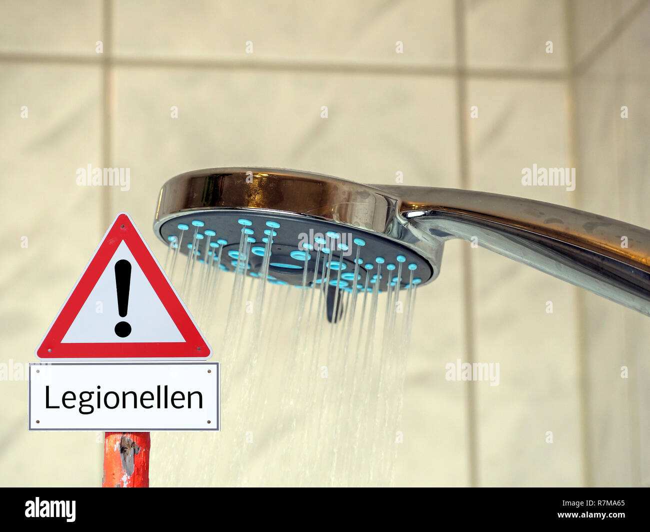 Legionella pneumophila bacteria hi-res stock photography and images - Alamy