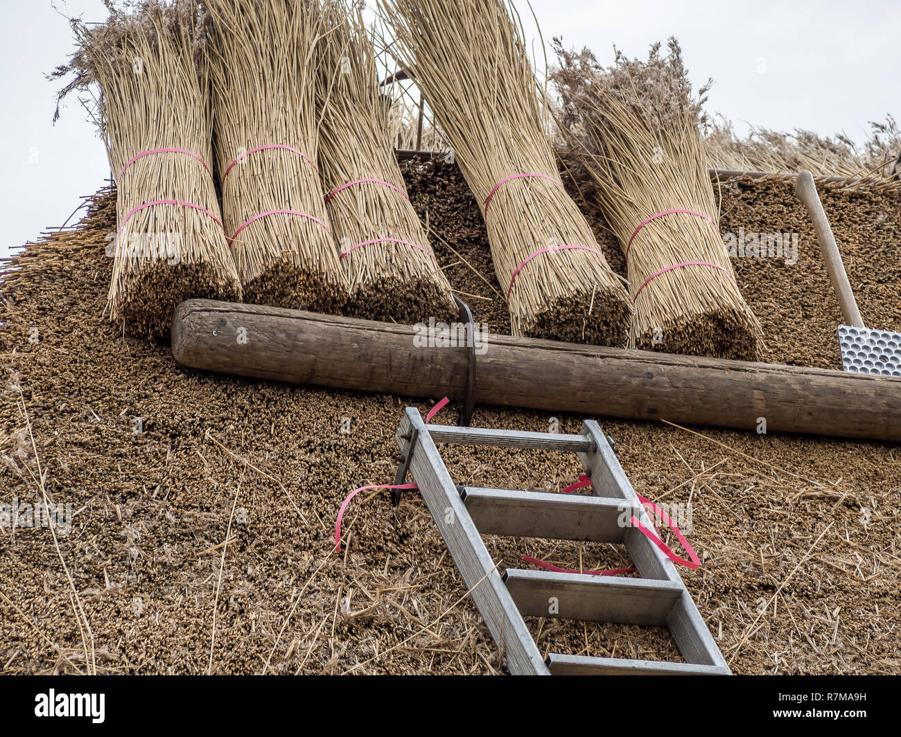 New thatched roof construction work Stock Photo - Alamy