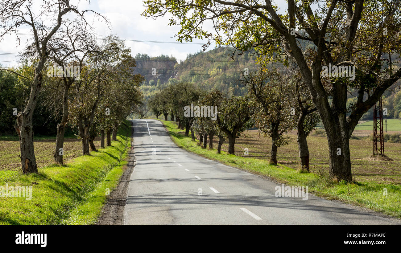 Road and trees Stock Photo - Alamy