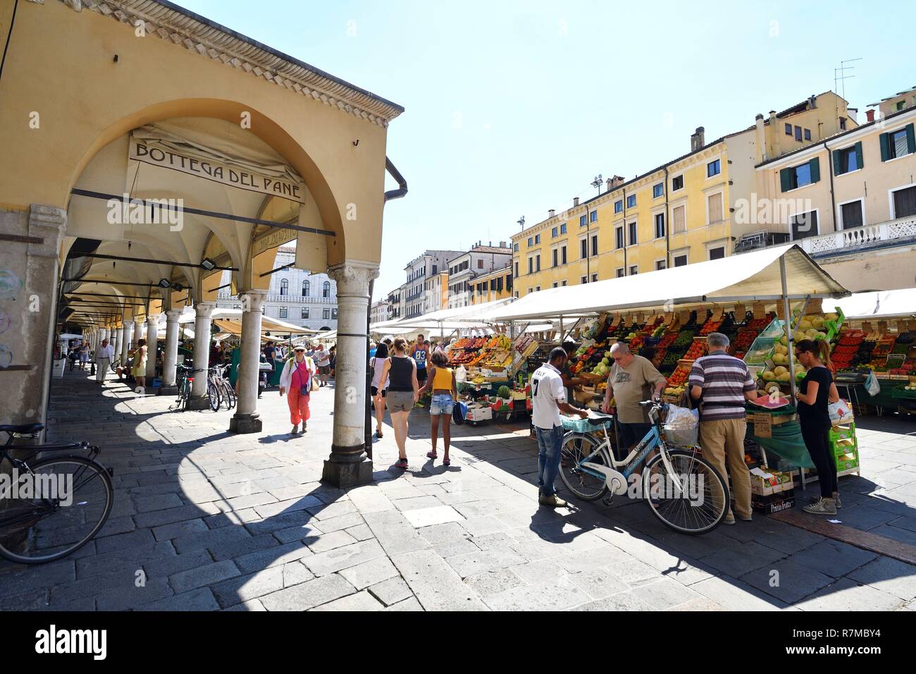 Italy, Venetia, Padova, Padua, Piazza della Frutta, market Stock Photo ...