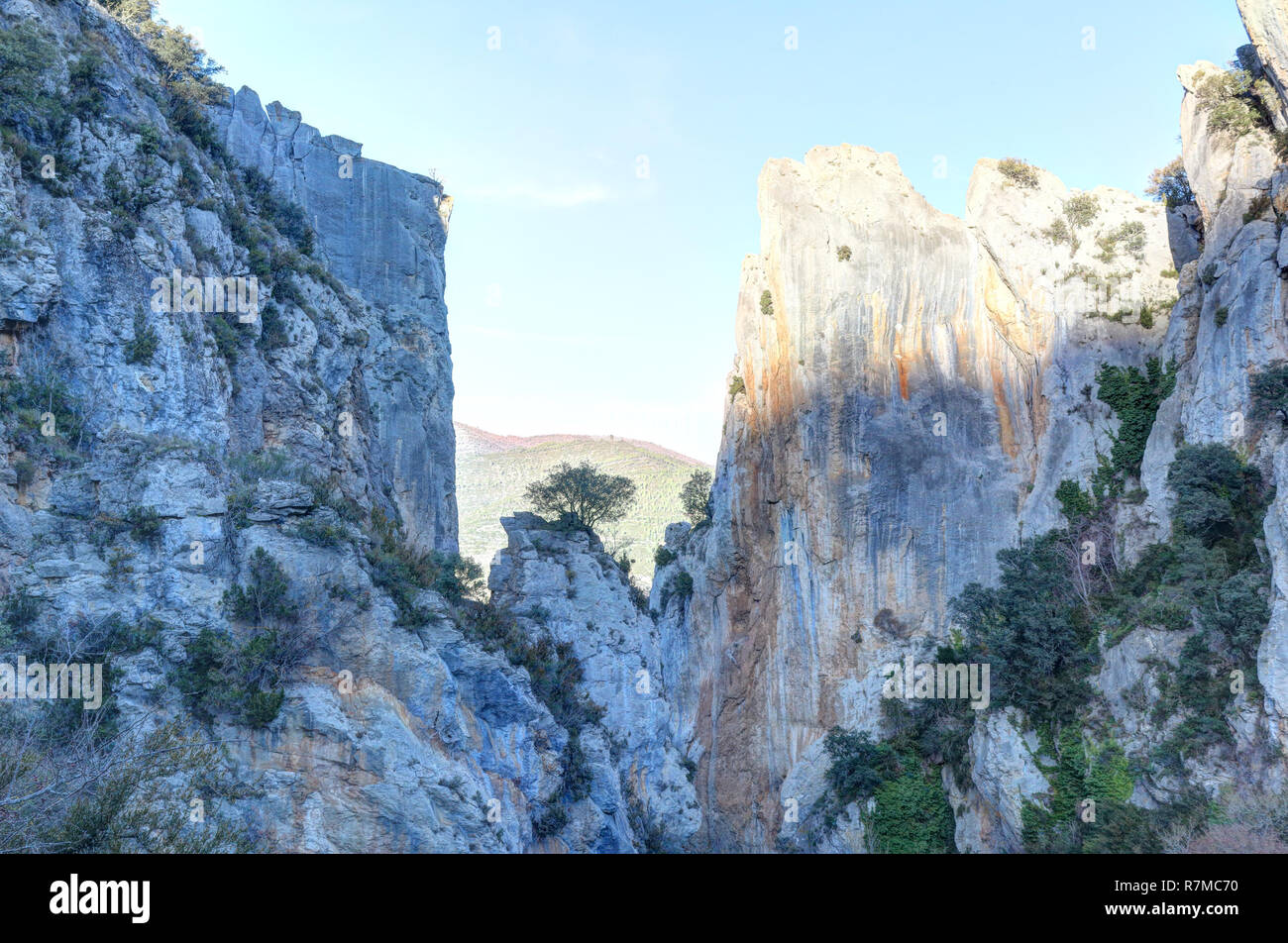 Breach On Water With Trees