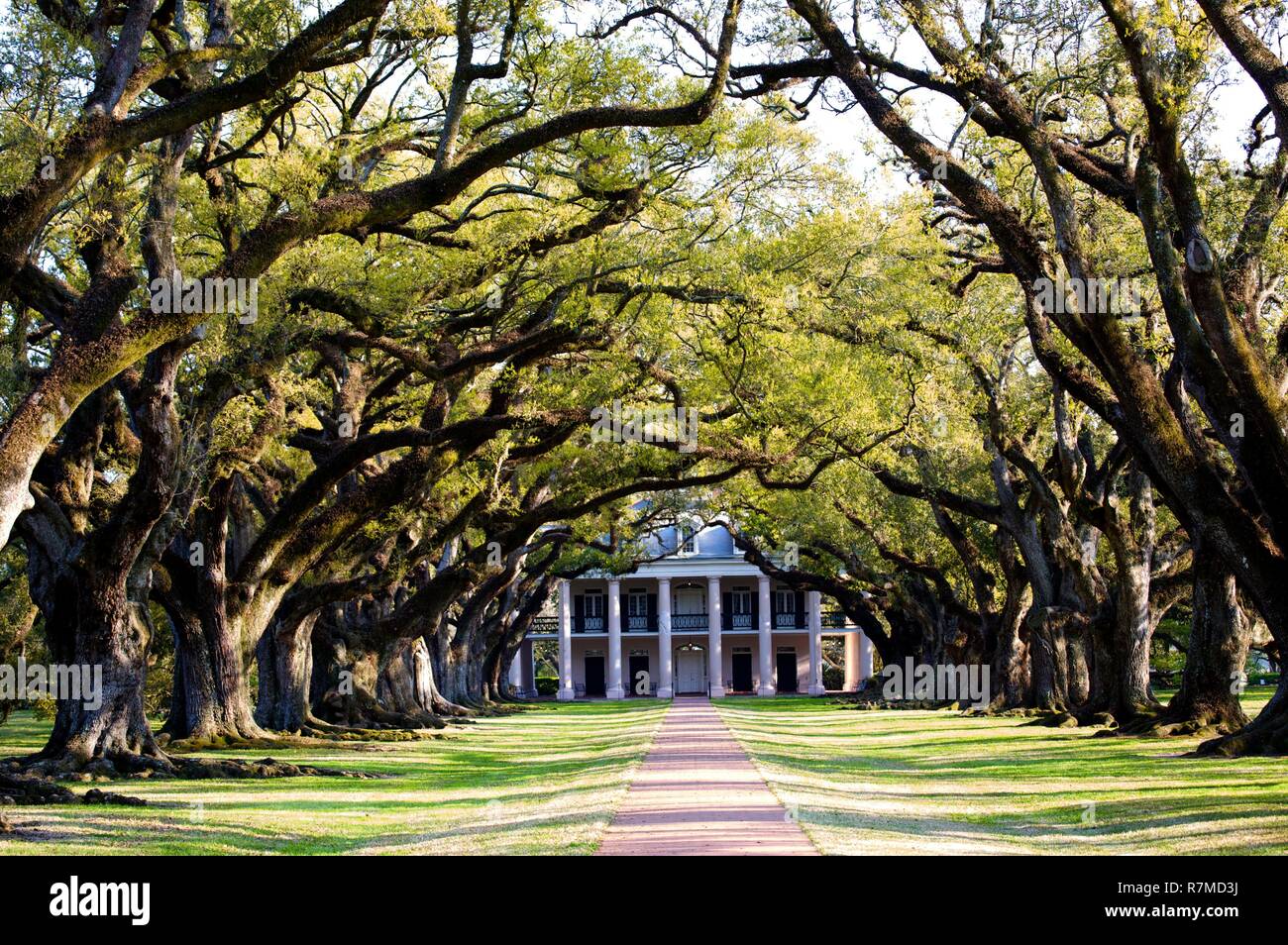 United States, Louisiana, Plantation Country Stock Photo - Alamy