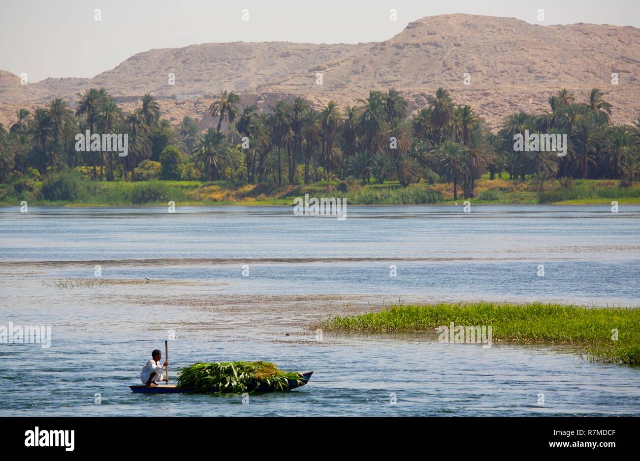 Egypt, view of the Nile Stock Photo - Alamy