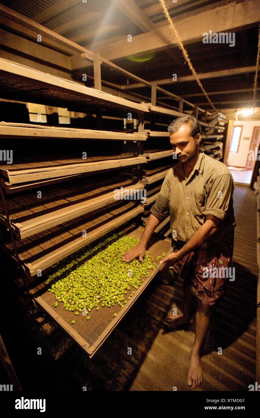 India, Kerala state, Kochi Stock Photo - Alamy