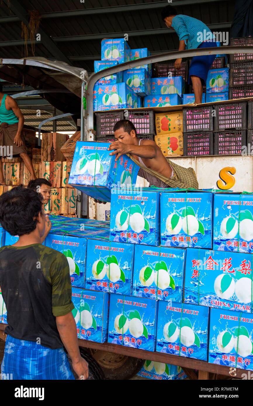 Myanmar, Yangon, the wholesale fruit and vegetable market, pears ...