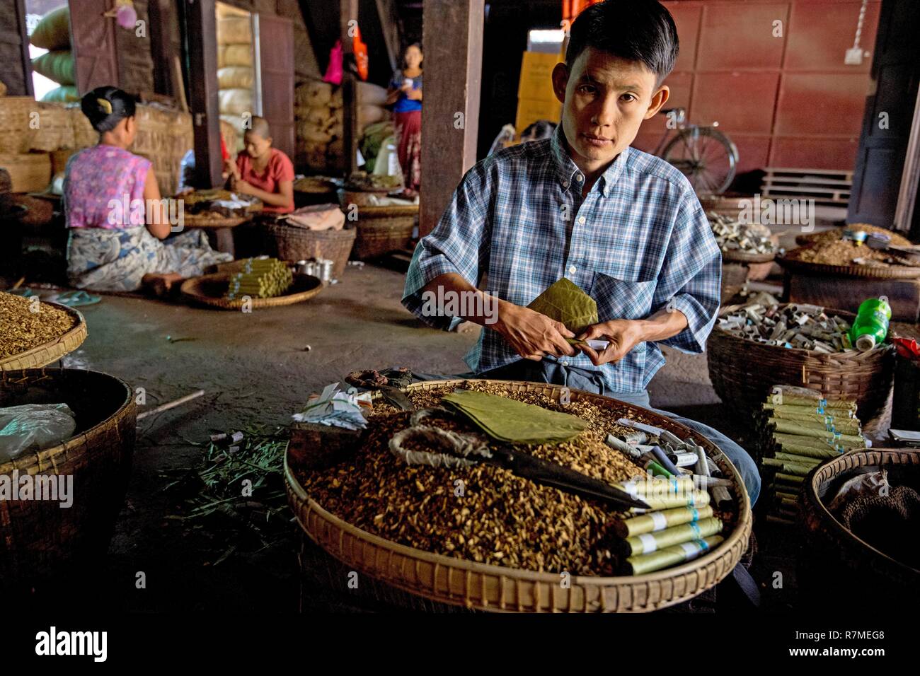 Myanmar, Mandalay Division, Pakkoku, cigar factory Stock Photo - Alamy