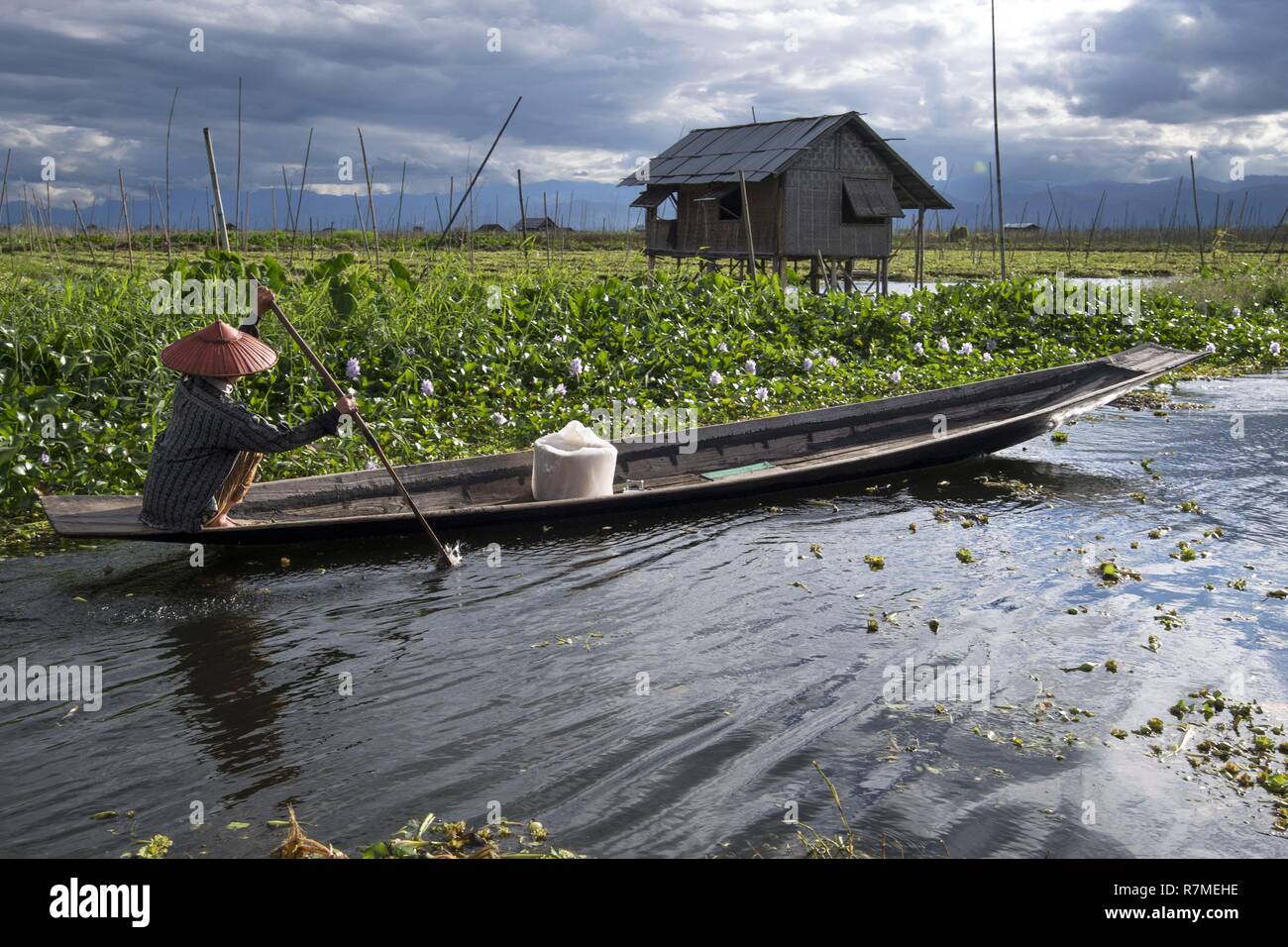 Myanmar, Shan State, Taunggyi District, Inle Lake, floating gardens ...