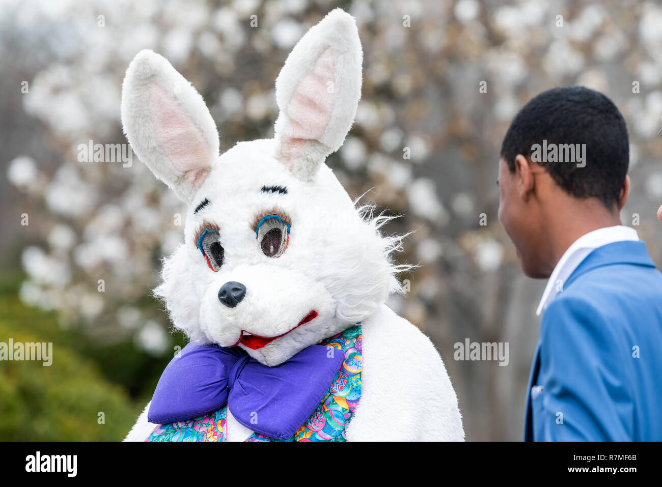 Washington DC, USA - April 1, 2018: Easter bunny costume and people by ...