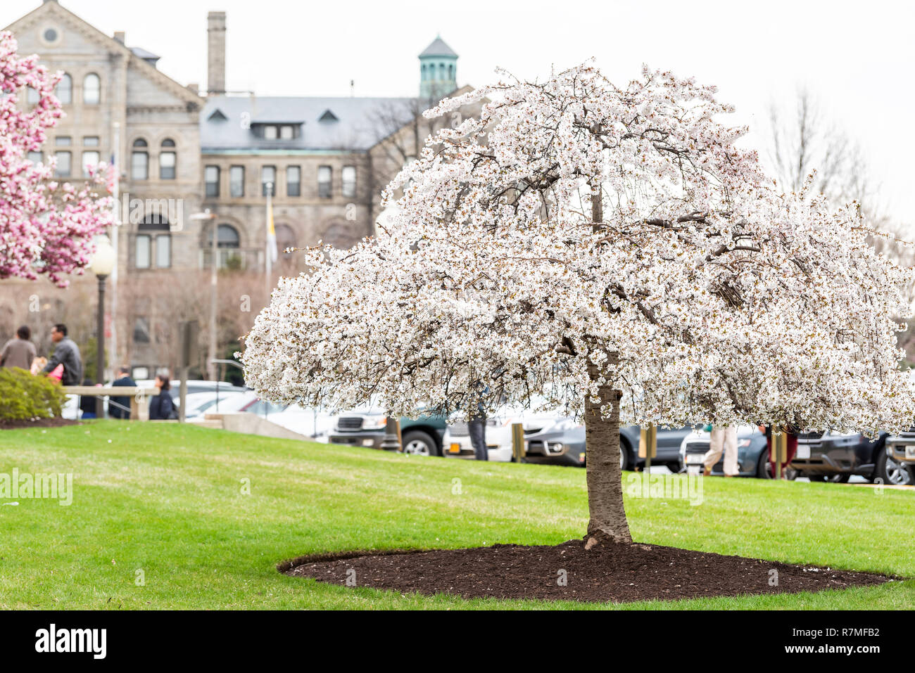Washington DC, USA college church campus, hall building in capital city ...
