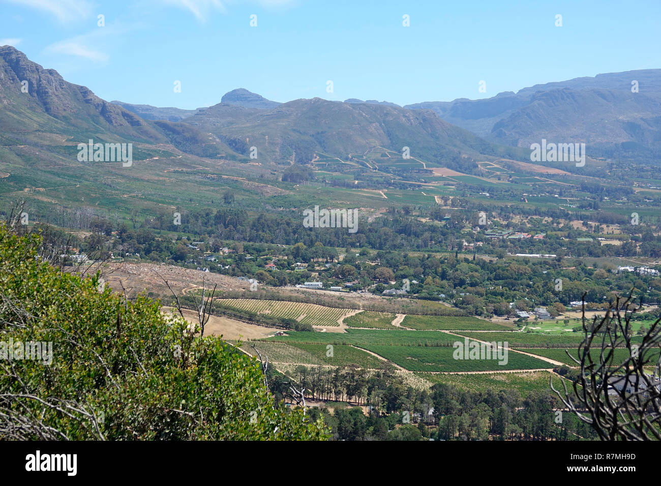 Constantia wine route hi-res stock photography and images - Alamy