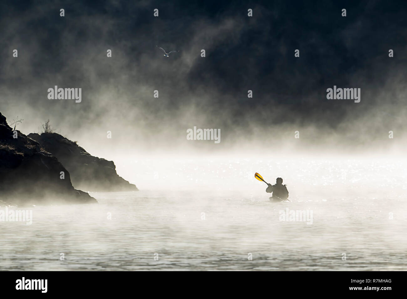 A kayaker paddles though the mist and fog in early December on Coeur d ...