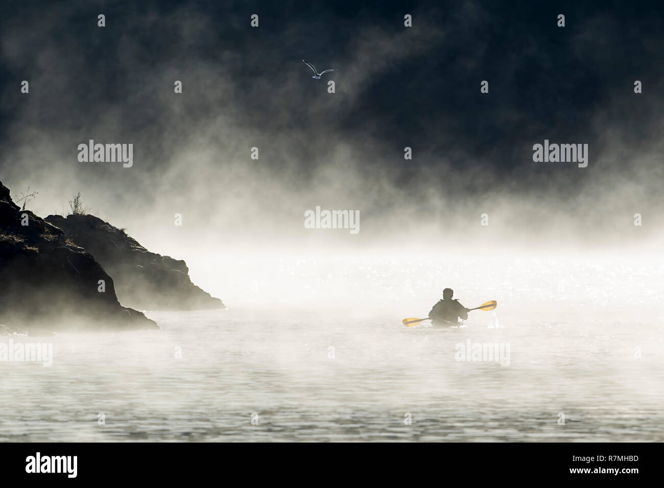 Higgens boat hi-res stock photography and images - Alamy