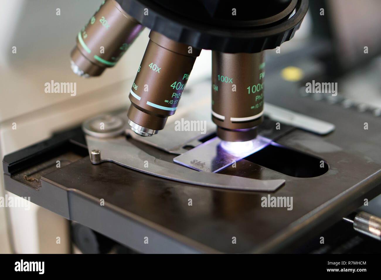 Light microscope student hi-res stock photography and images - Alamy
