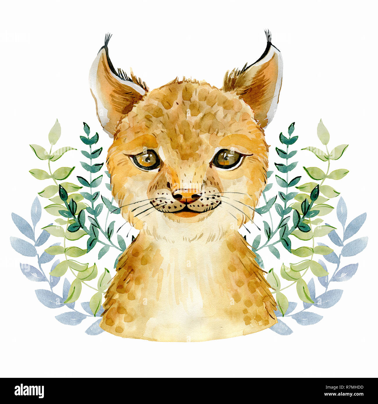 Bobcat Drawing High Resolution Stock Photography and Images - Alamy