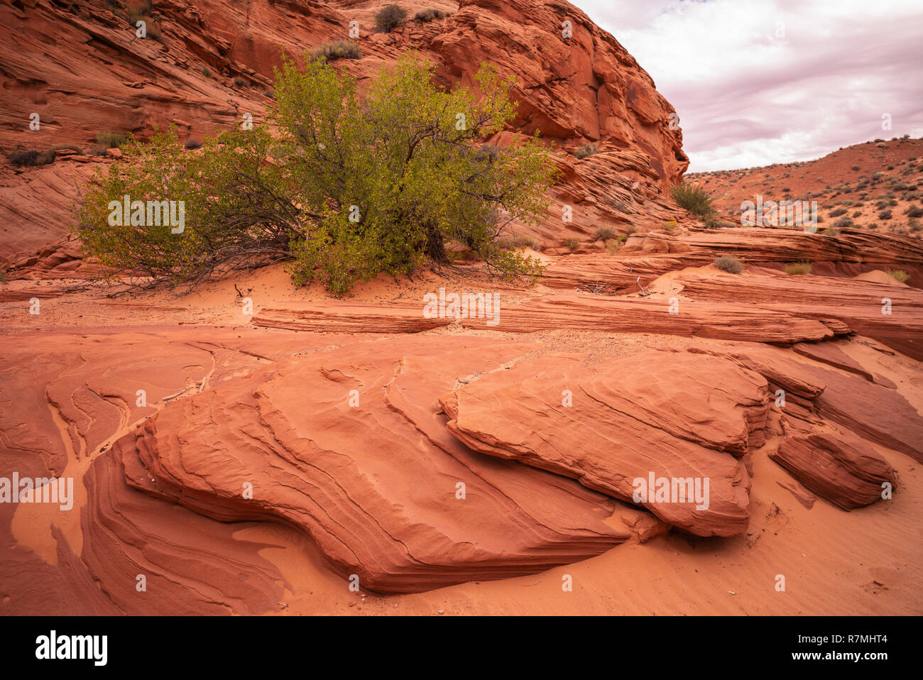 Waterhole Canyon - a slot canyon caused by flash flooding, cutting ...