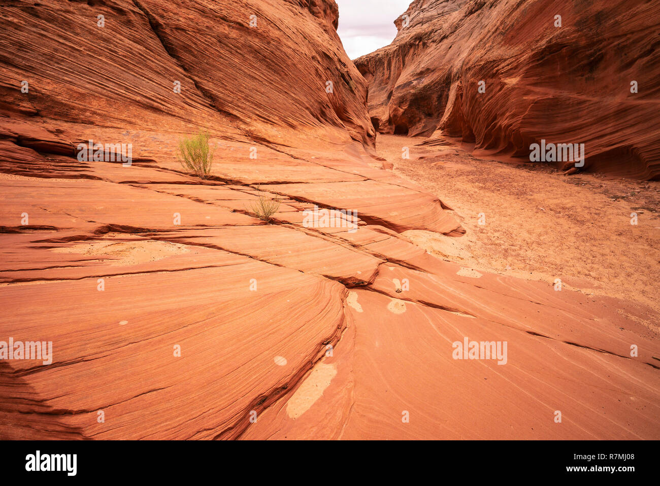 Waterhole Canyon - a slot canyon caused by flash flooding, cutting ...
