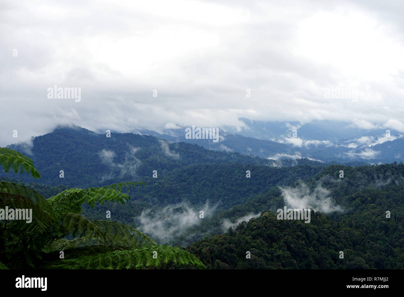Tropical mountain range view. View Of Moving Clouds And Fog over ...