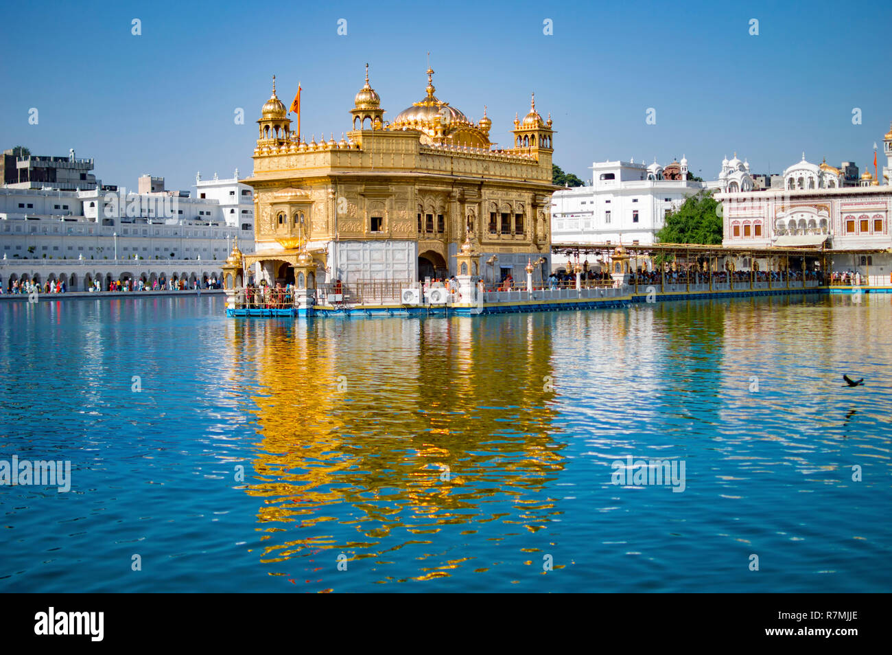 Holy sight of golden temple and its reflection in blue water Stock ...