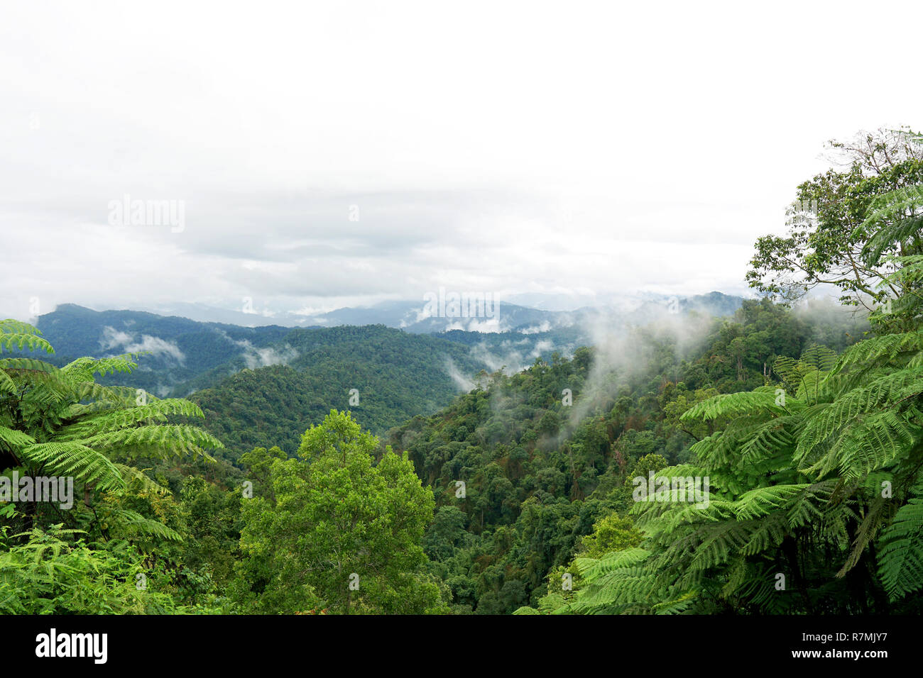Tropical mountain range view. View Of Moving Clouds And Fog over ...