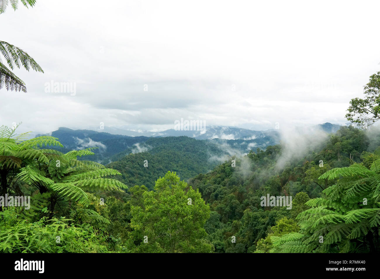 Tropical mountain range view. View Of Moving Clouds And Fog over ...