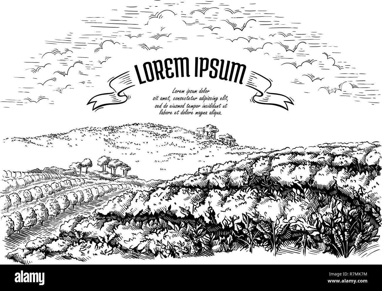 coffee plantation landscape in graphic style hand-drawn vector ...