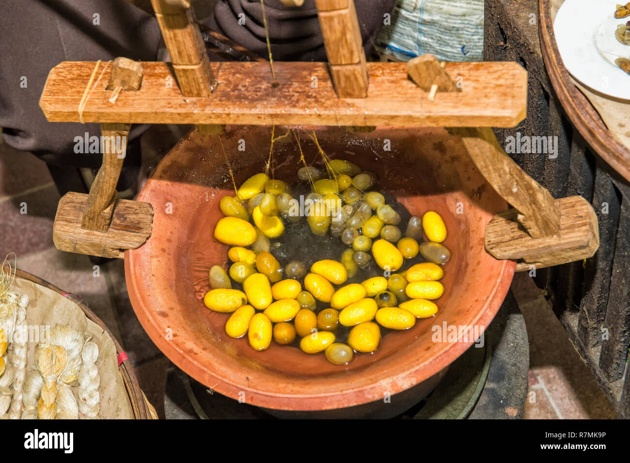 Extraction of silk wires from cocoon hi-res stock photography and ...