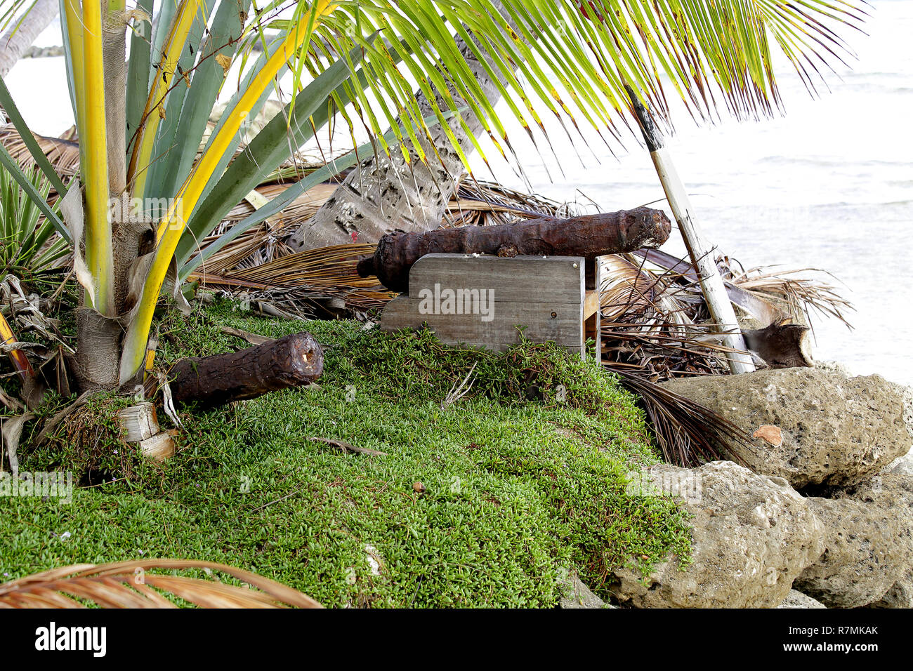 Two very rusted cannons pointing out to sea Stock Photo - Alamy