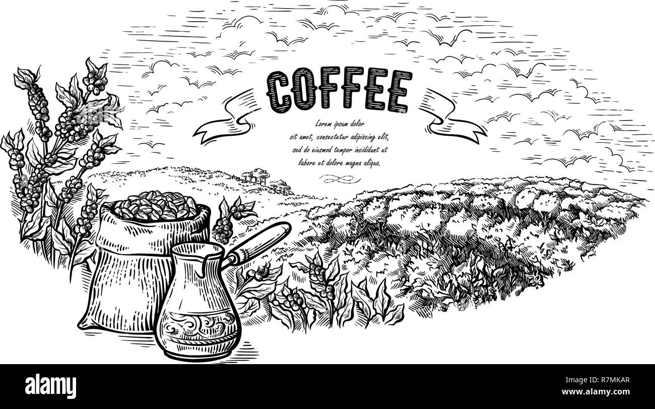 coffee plantation landscape bag bush and coffeepot in graphic style ...