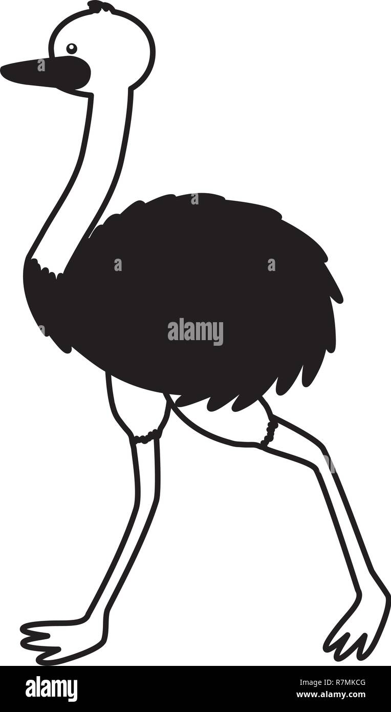 Funny emu Cut Out Stock Images & Pictures - Alamy
