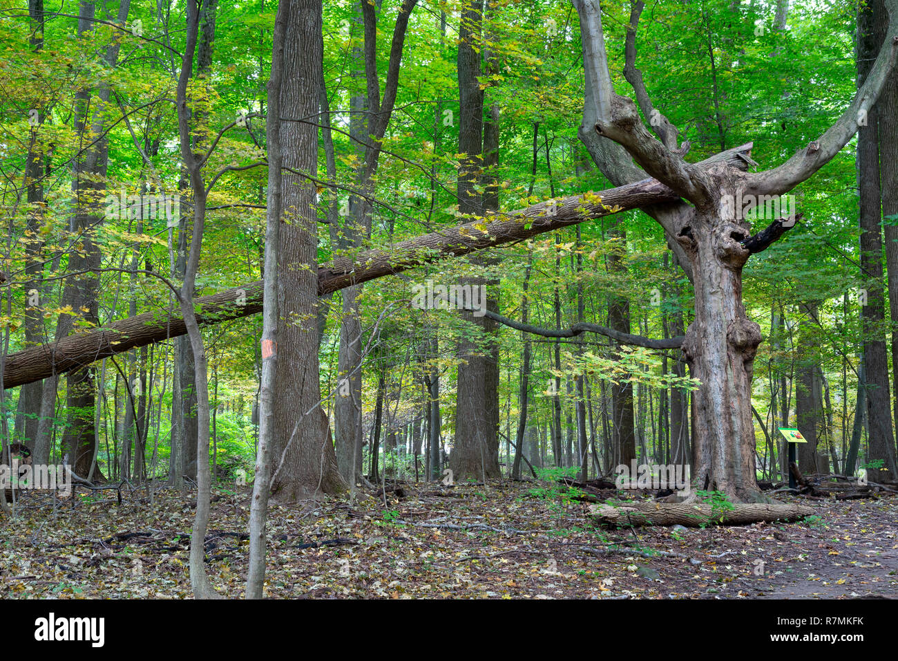 Tallman state park new york hi-res stock photography and images - Alamy