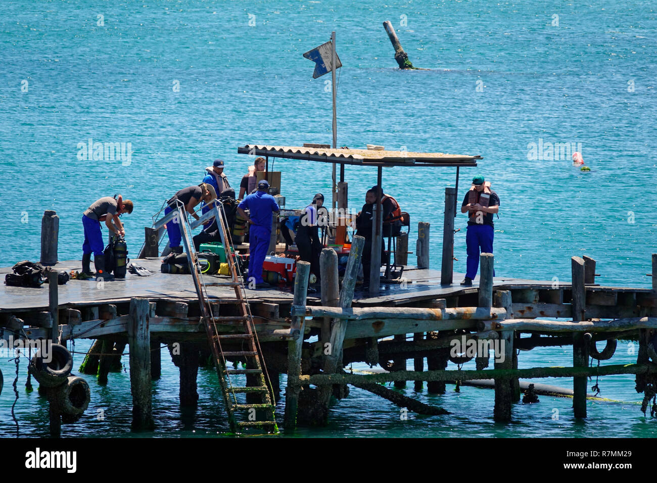 Saldanha bay hi-res stock photography and images - Alamy