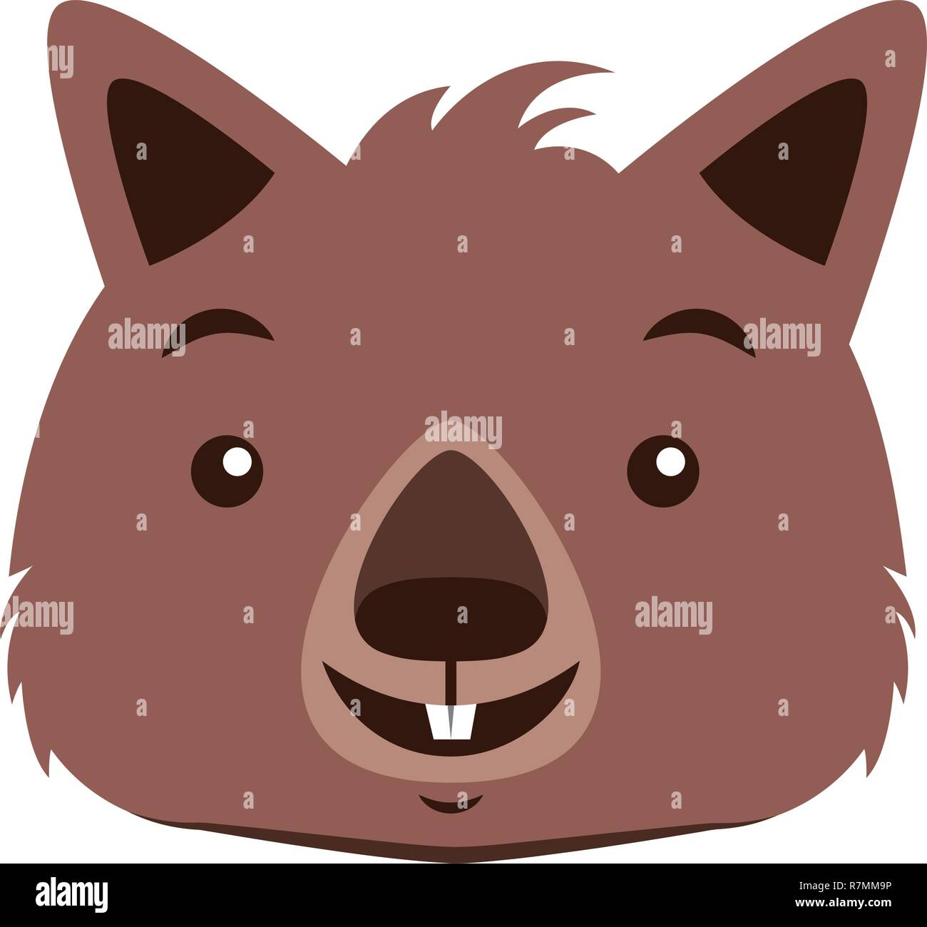 wombat face australian wildlife white background Stock Vector Image ...