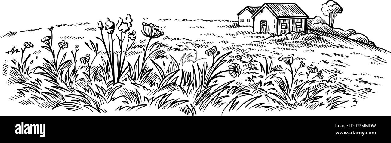 field near the village houses in the background and flowers vector ...