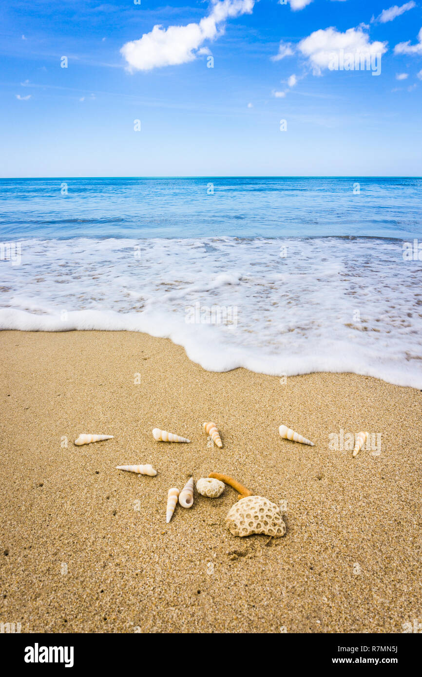 Beach of shells hi-res stock photography and images - Alamy