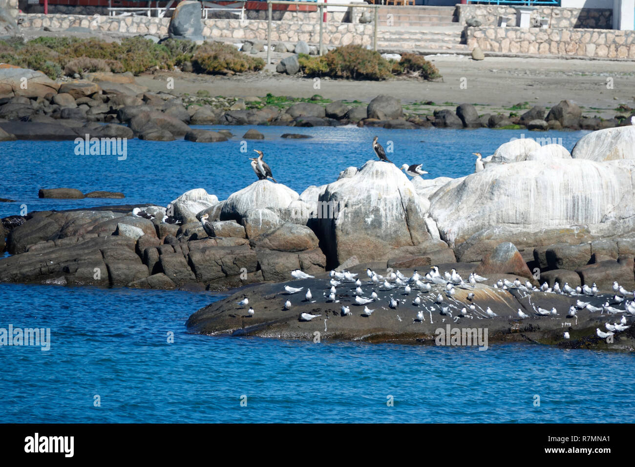 Jakobs bay hi-res stock photography and images - Alamy