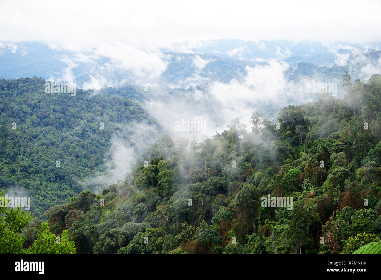 Tropical mountain range view. View Of Moving Clouds And Fog over ...