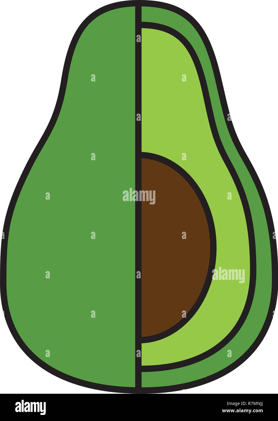 fresh avocado on white background Stock Vector Image & Art - Alamy