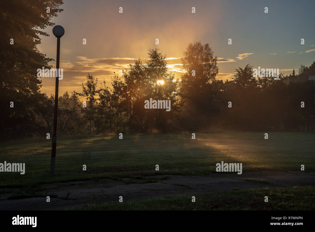 beautiful morning sun light shining through the trees on the road, sun ...